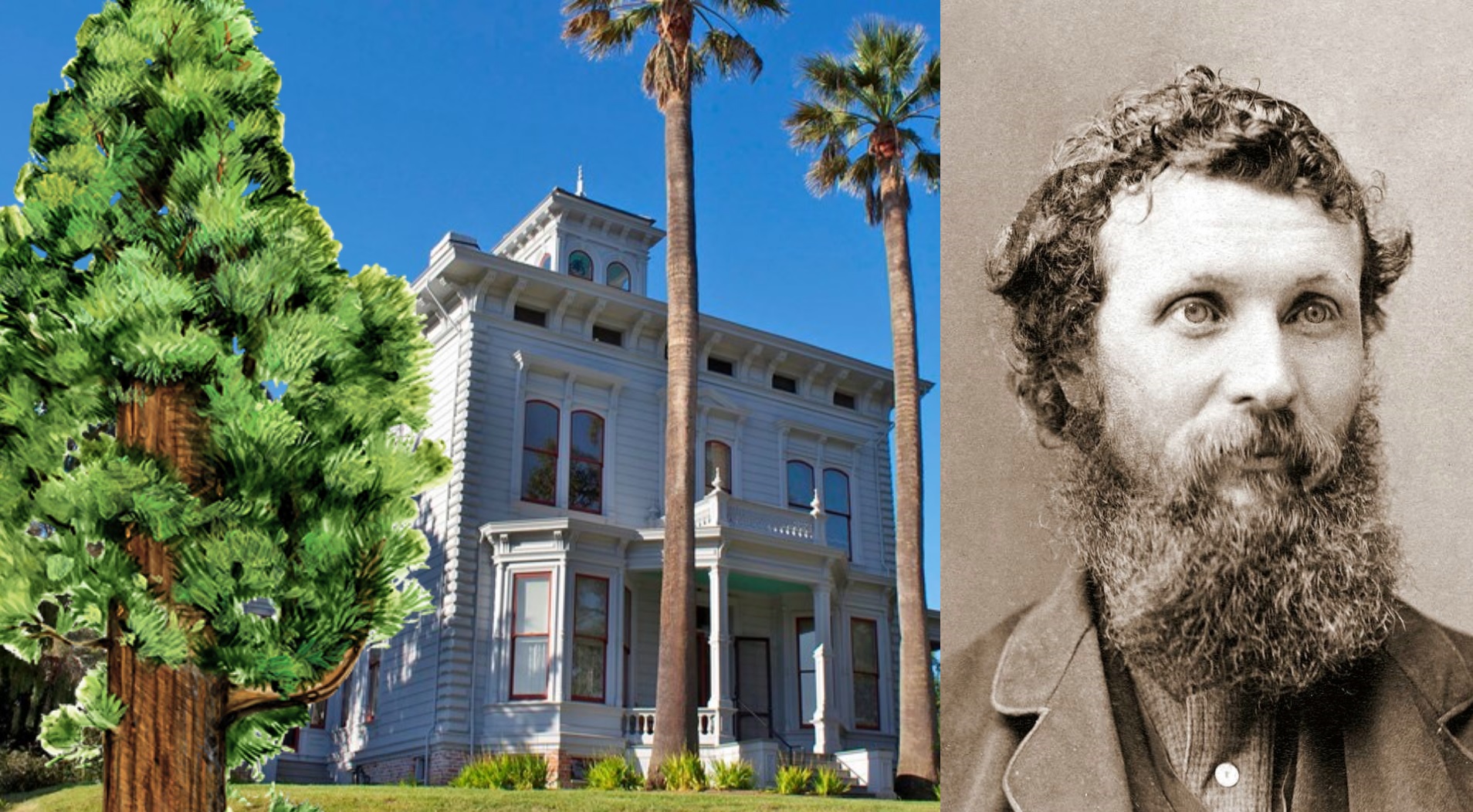 Visiting John Muir’s Home – Josh Hodge blog