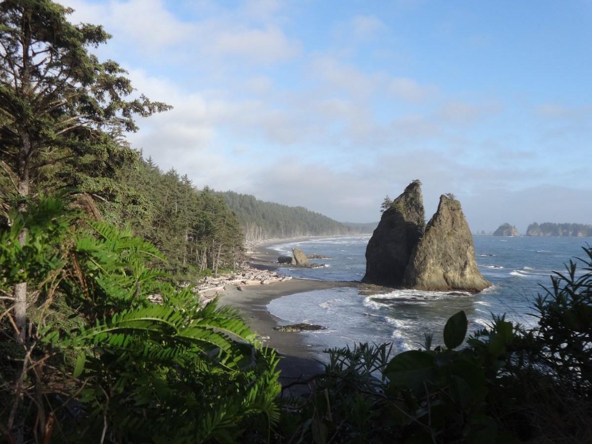 The Mystical Beaches of Olympic – Josh Hodge blog